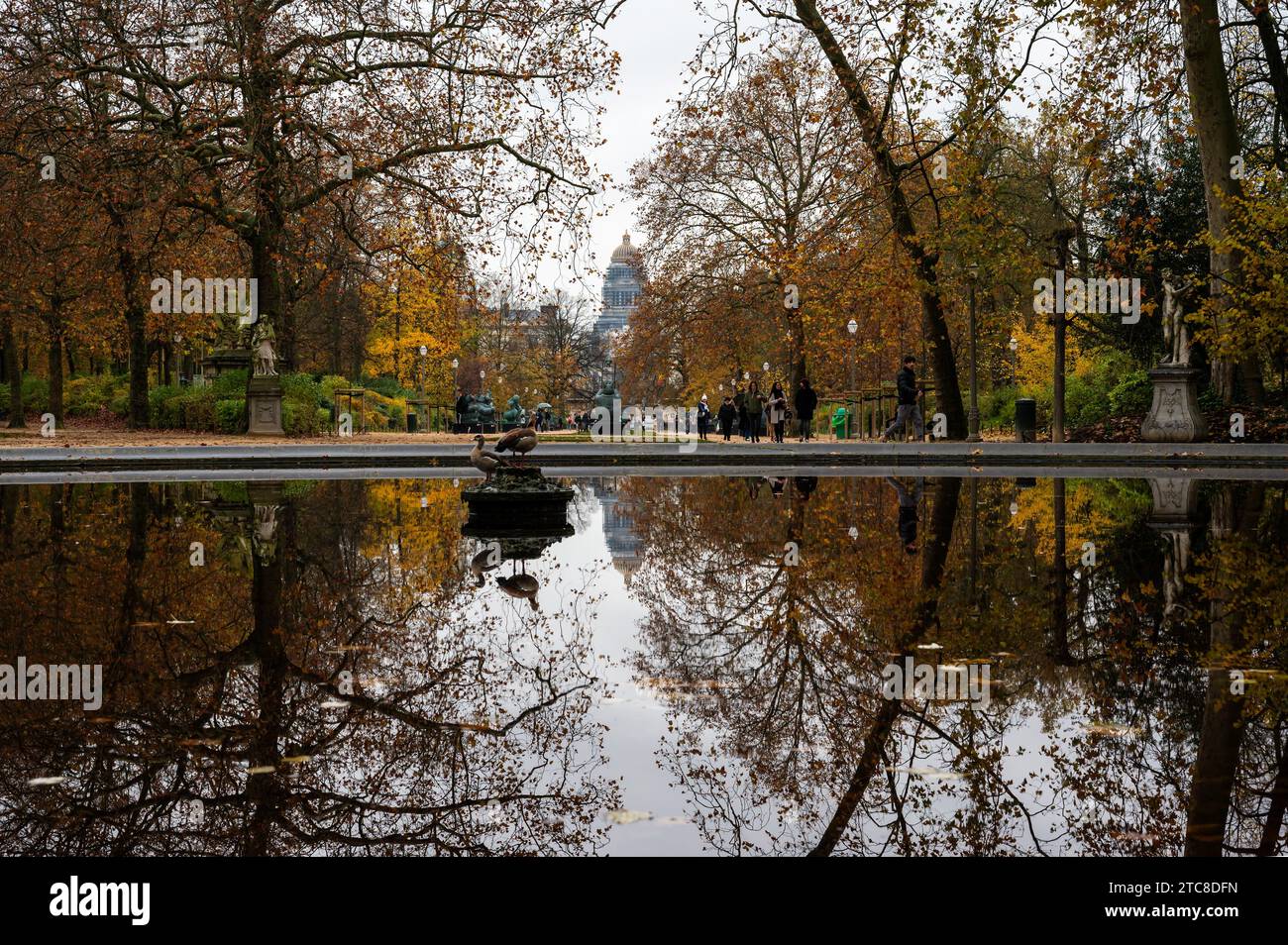 Brussels old town, Belgium, November 16, 2023 - Autumn trees reflecting ...