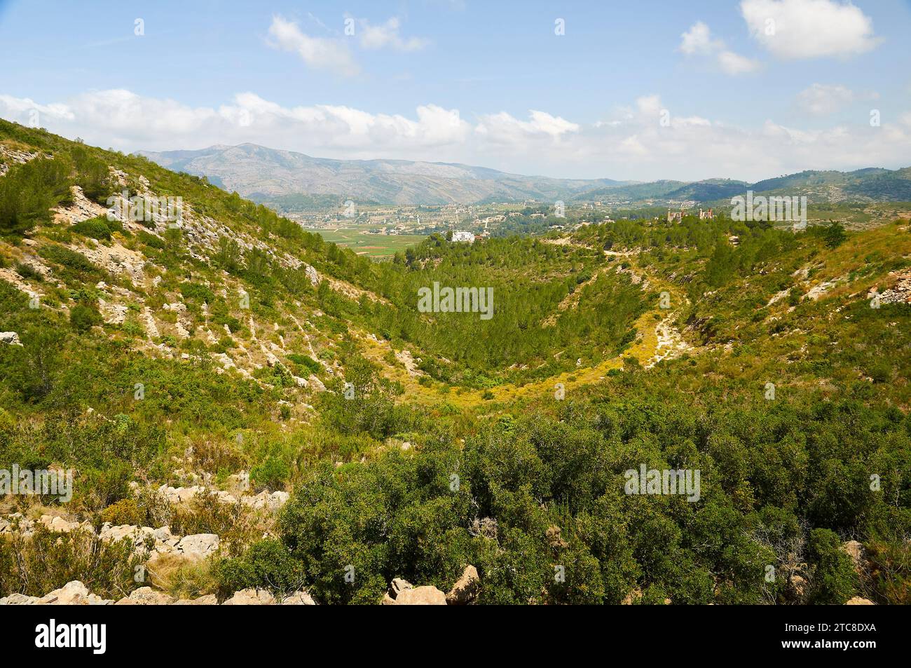 Mediterranean landscape of maquis shrubland and traditional terraced ...