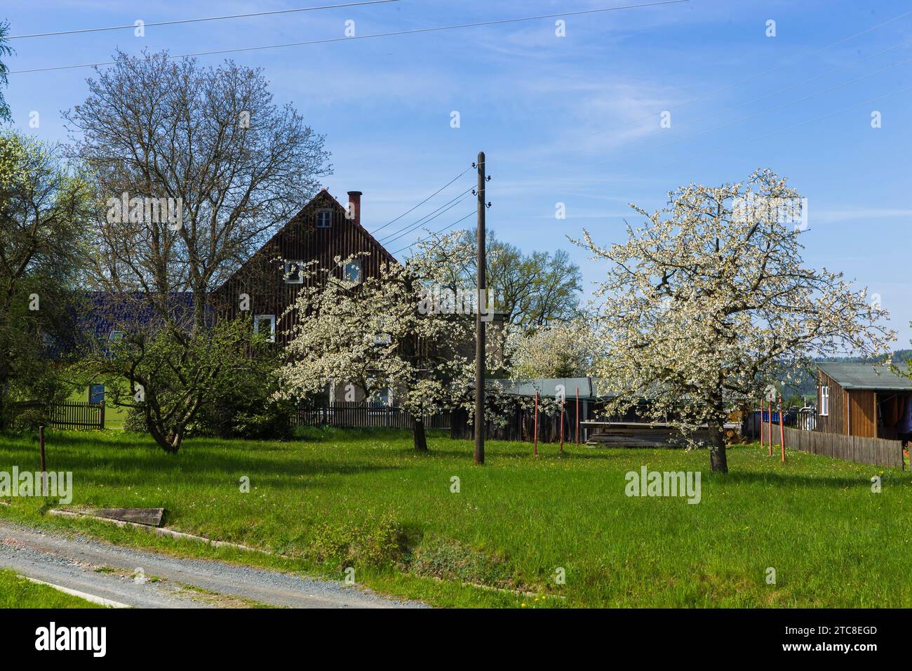 Flowering fruit trees Stock Photo - Alamy