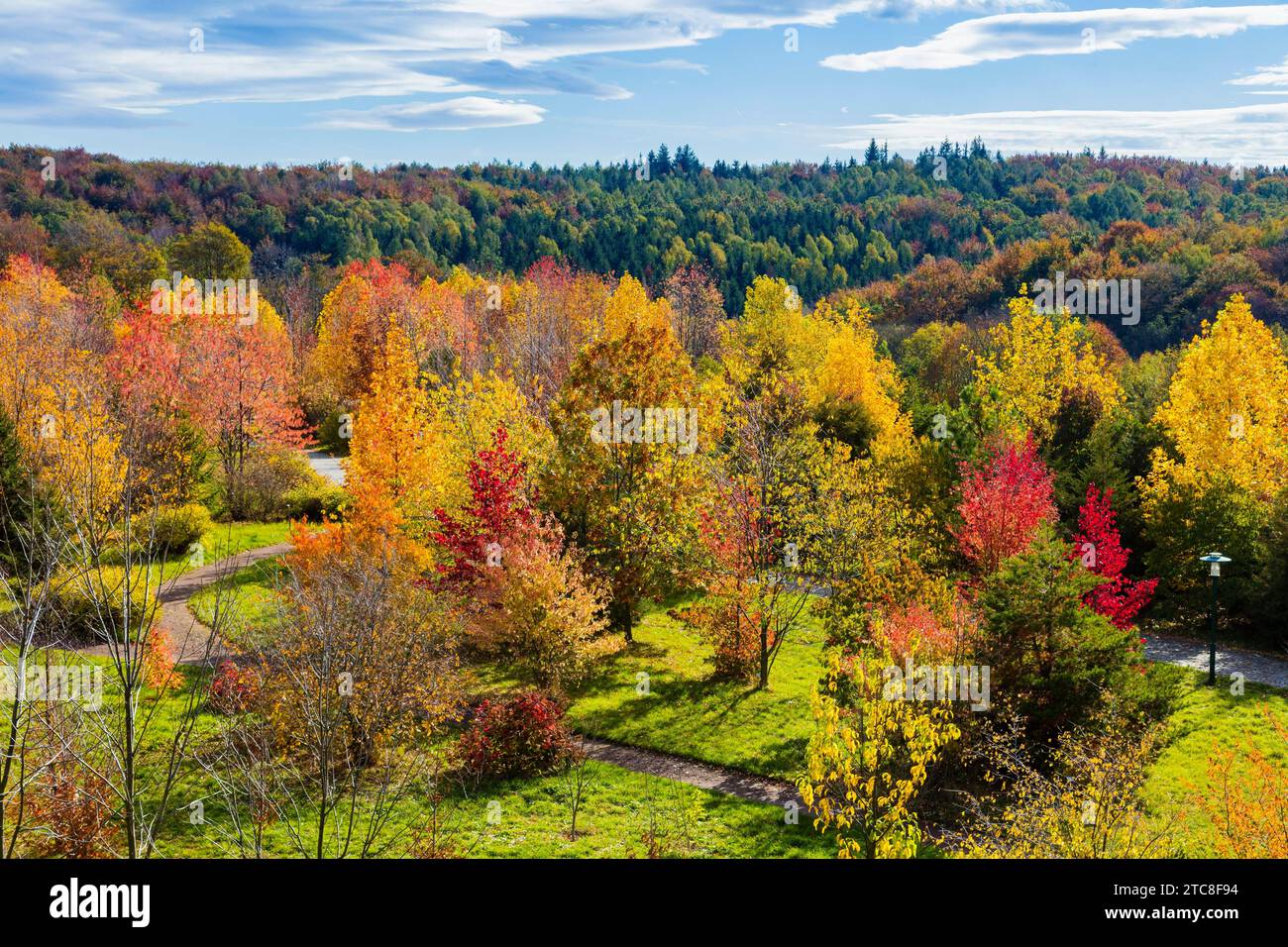 The Forest Botanical Garden Tharandt is an institution of the Technical ...