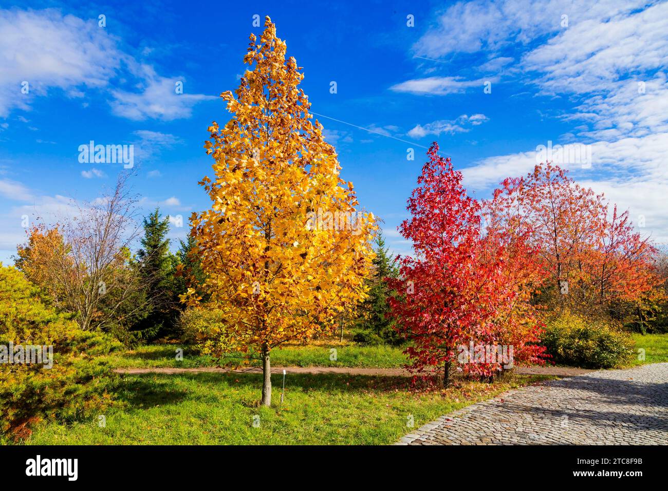 The Forest Botanical Garden Tharandt is an institution of the Technical ...