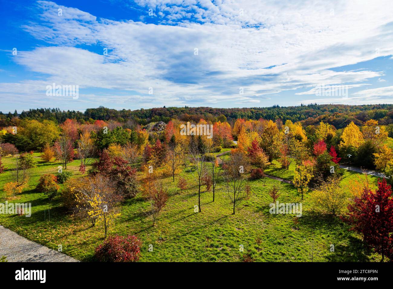 The Forest Botanical Garden Tharandt is an institution of the Technical ...