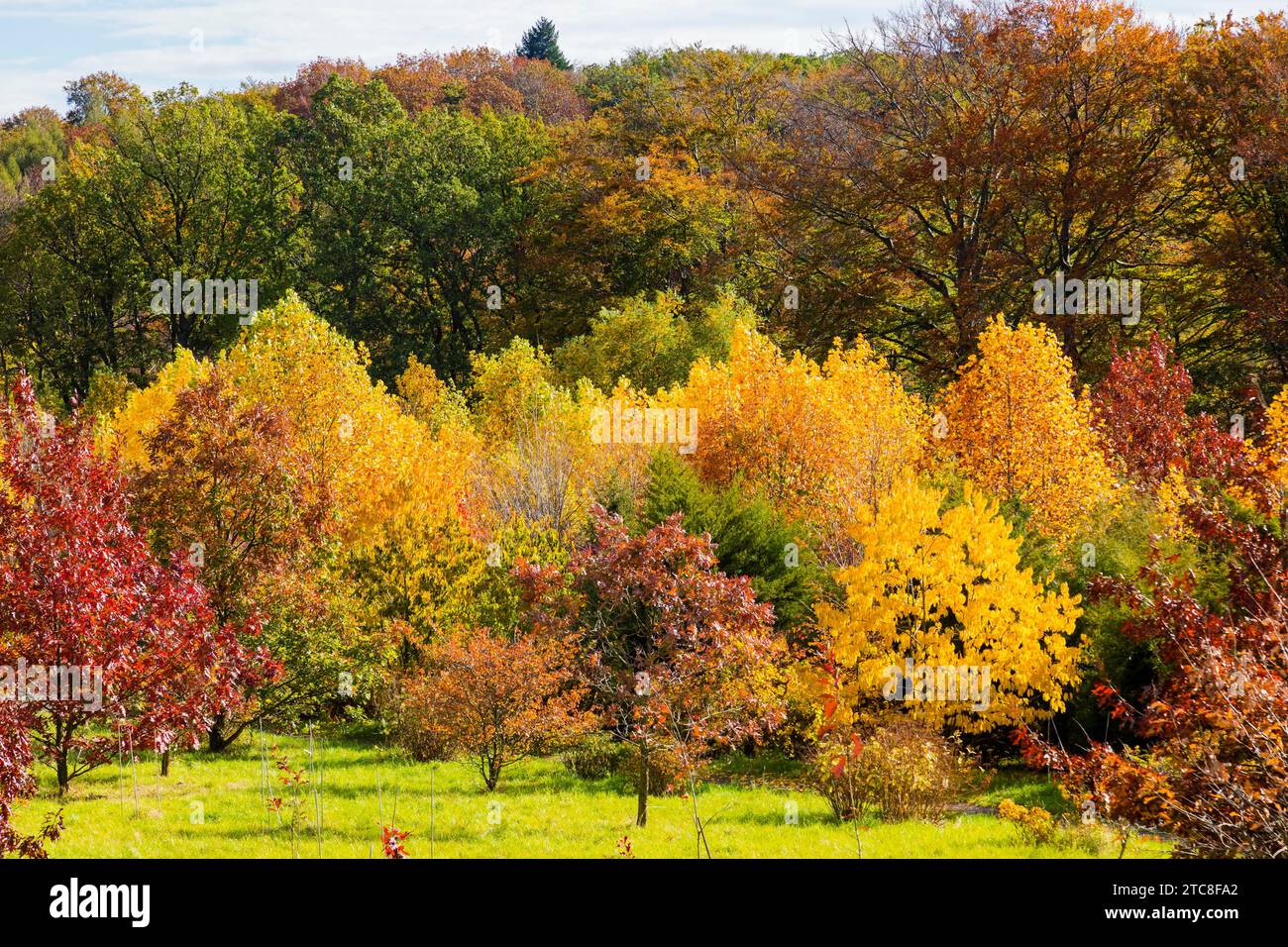 The Forest Botanical Garden Tharandt is an institution of the Technical ...