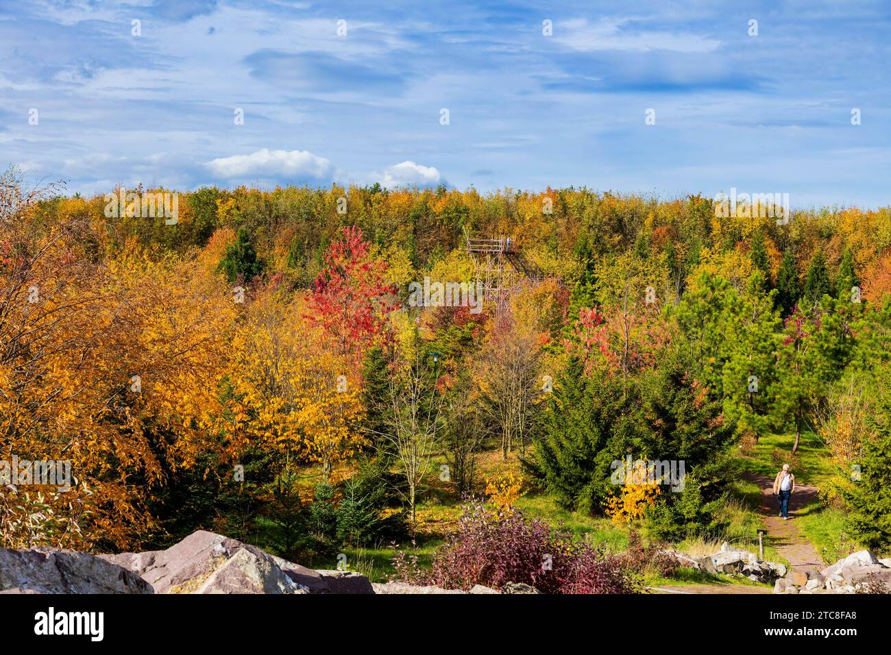 The Forest Botanical Garden Tharandt is an institution of the Technical ...