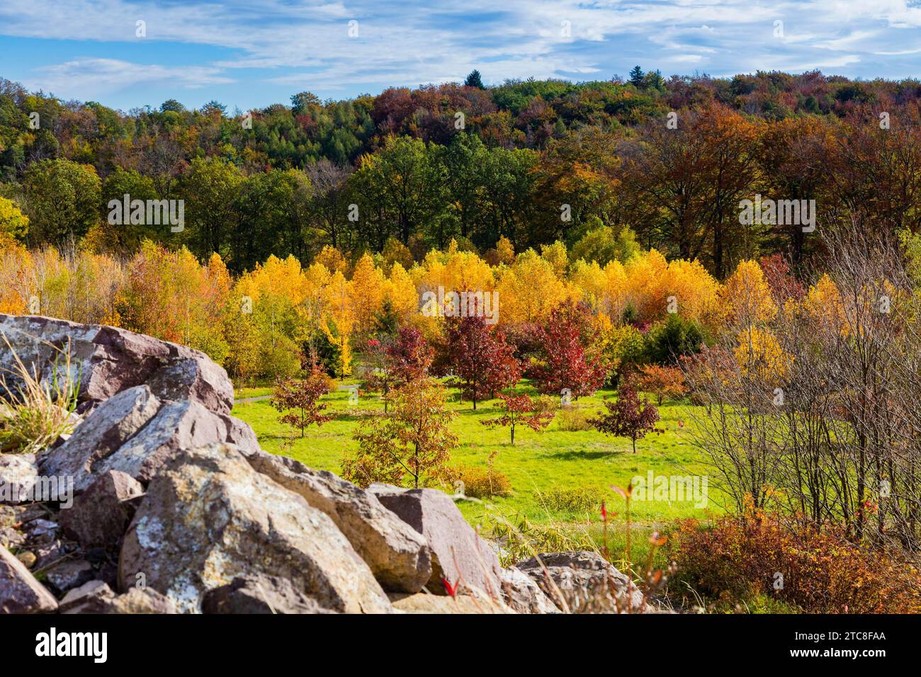 The Forest Botanical Garden Tharandt is an institution of the Technical ...