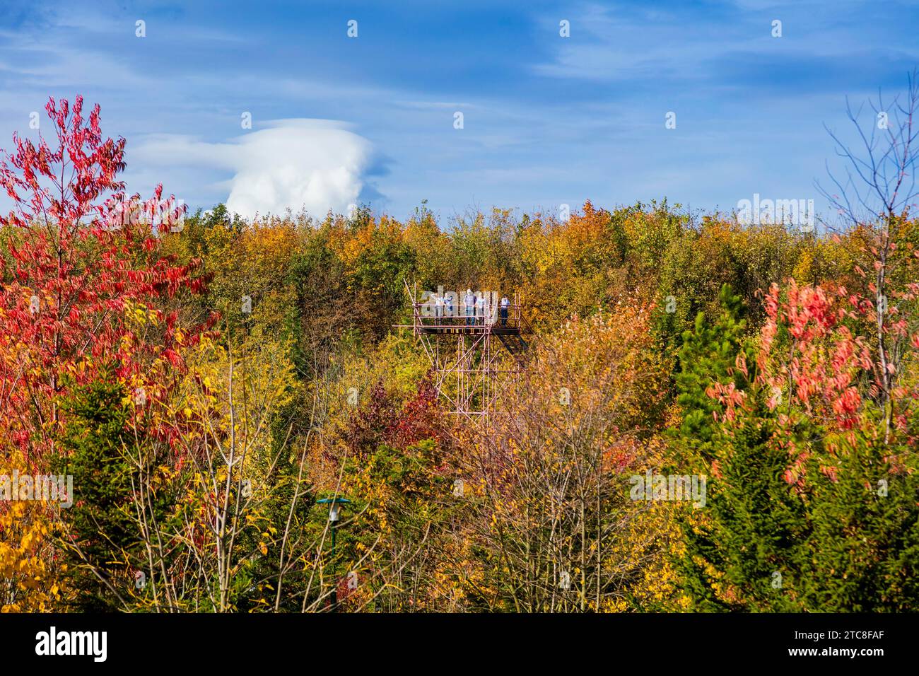 The Forest Botanical Garden Tharandt is an institution of the Technical ...