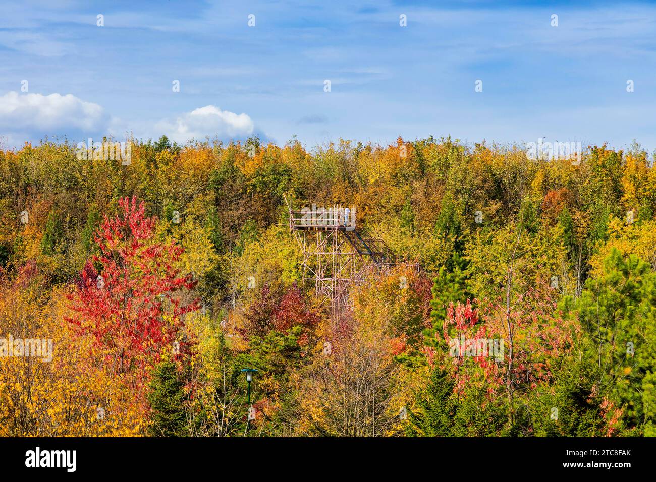 The Forest Botanical Garden Tharandt is an institution of the Technical ...