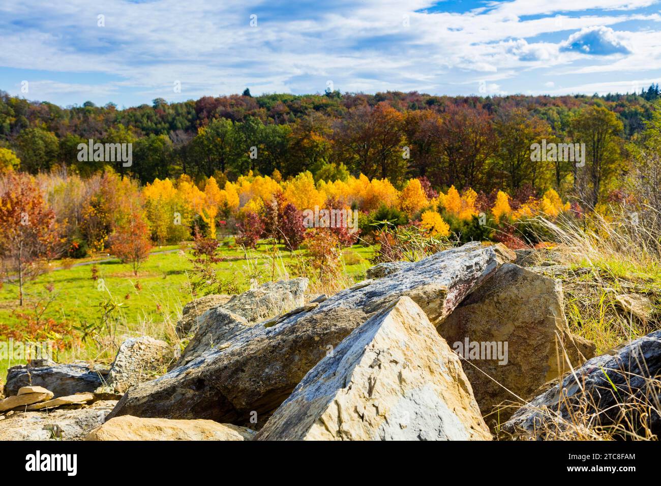The Forest Botanical Garden Tharandt is an institution of the Technical ...