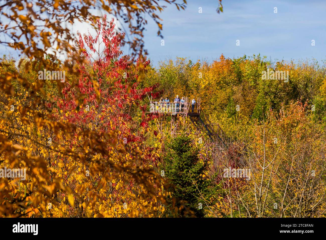 The Forest Botanical Garden Tharandt is an institution of the Technical ...
