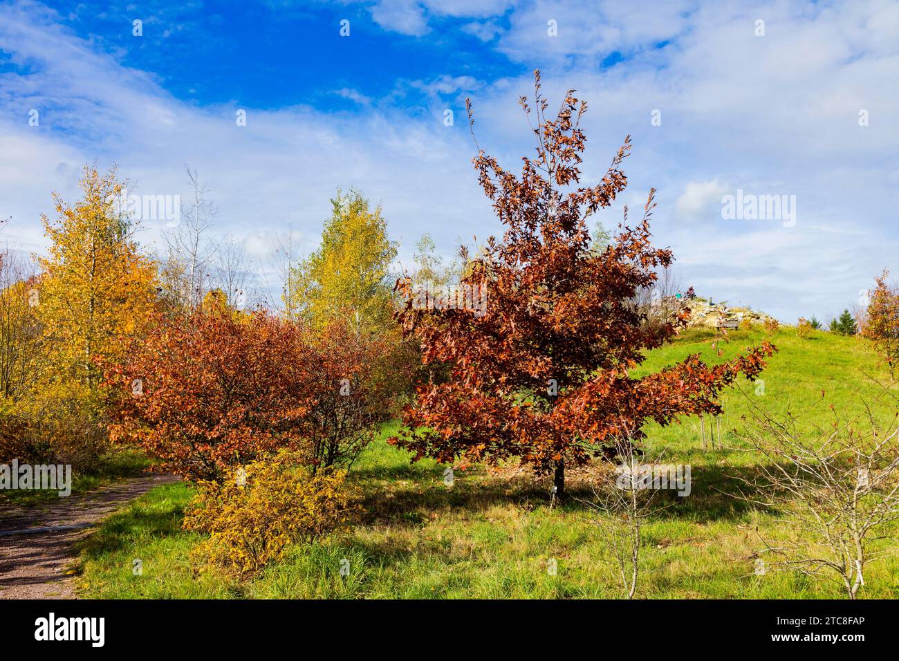The Forest Botanical Garden Tharandt is an institution of the Technical ...