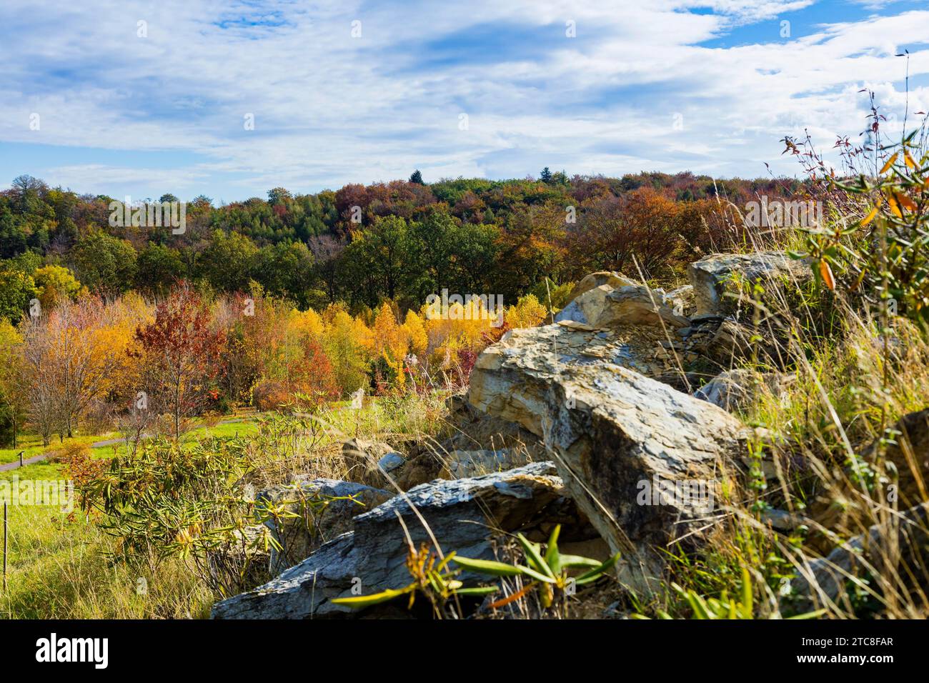 The Forest Botanical Garden Tharandt is an institution of the Technical ...