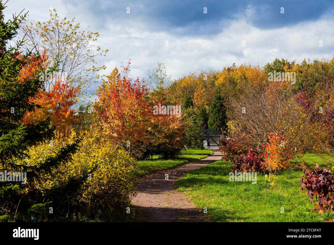 The Forest Botanical Garden Tharandt is an institution of the Technical ...