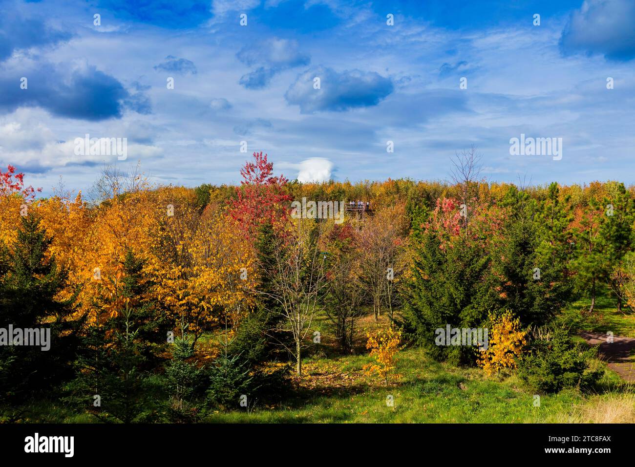 The Forest Botanical Garden Tharandt is an institution of the Technical ...