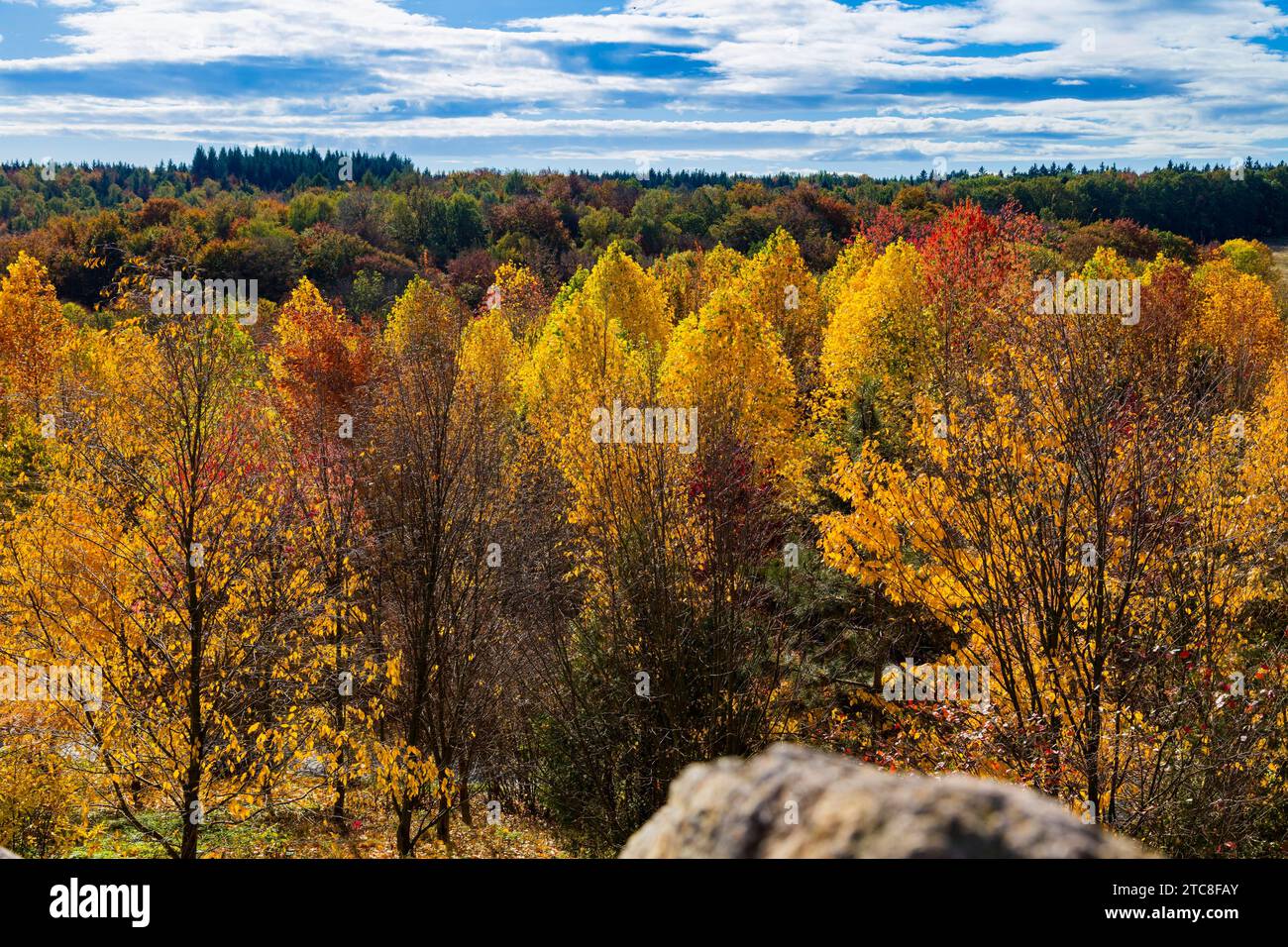 The Forest Botanical Garden Tharandt is an institution of the Technical ...