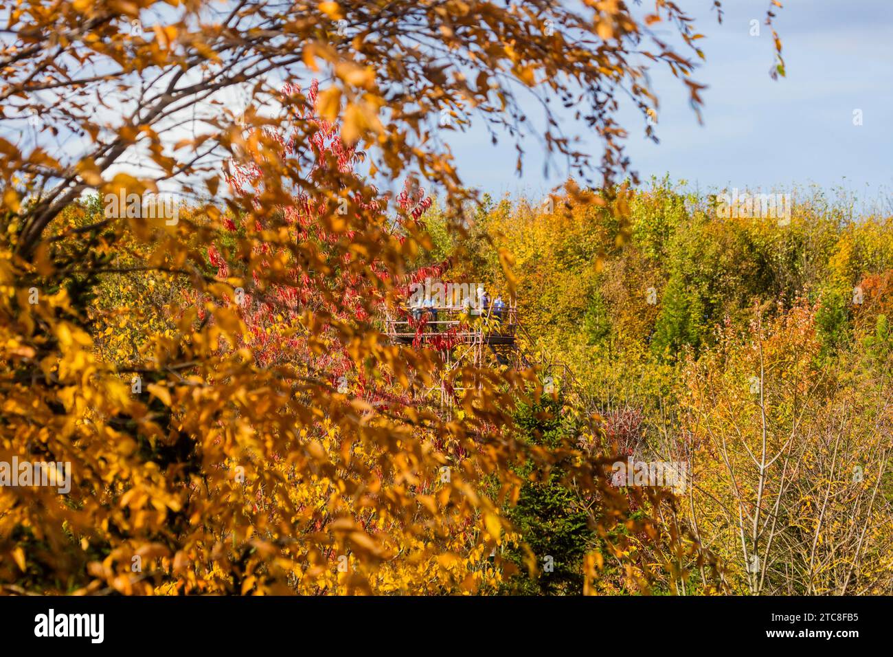 The Forest Botanical Garden Tharandt is an institution of the Technical ...