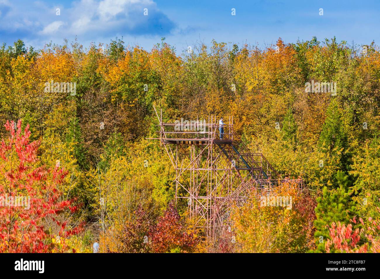 The Forest Botanical Garden Tharandt is an institution of the Technical ...