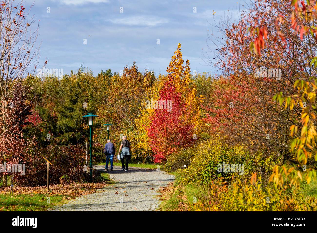 The Forest Botanical Garden Tharandt is an institution of the Technical ...