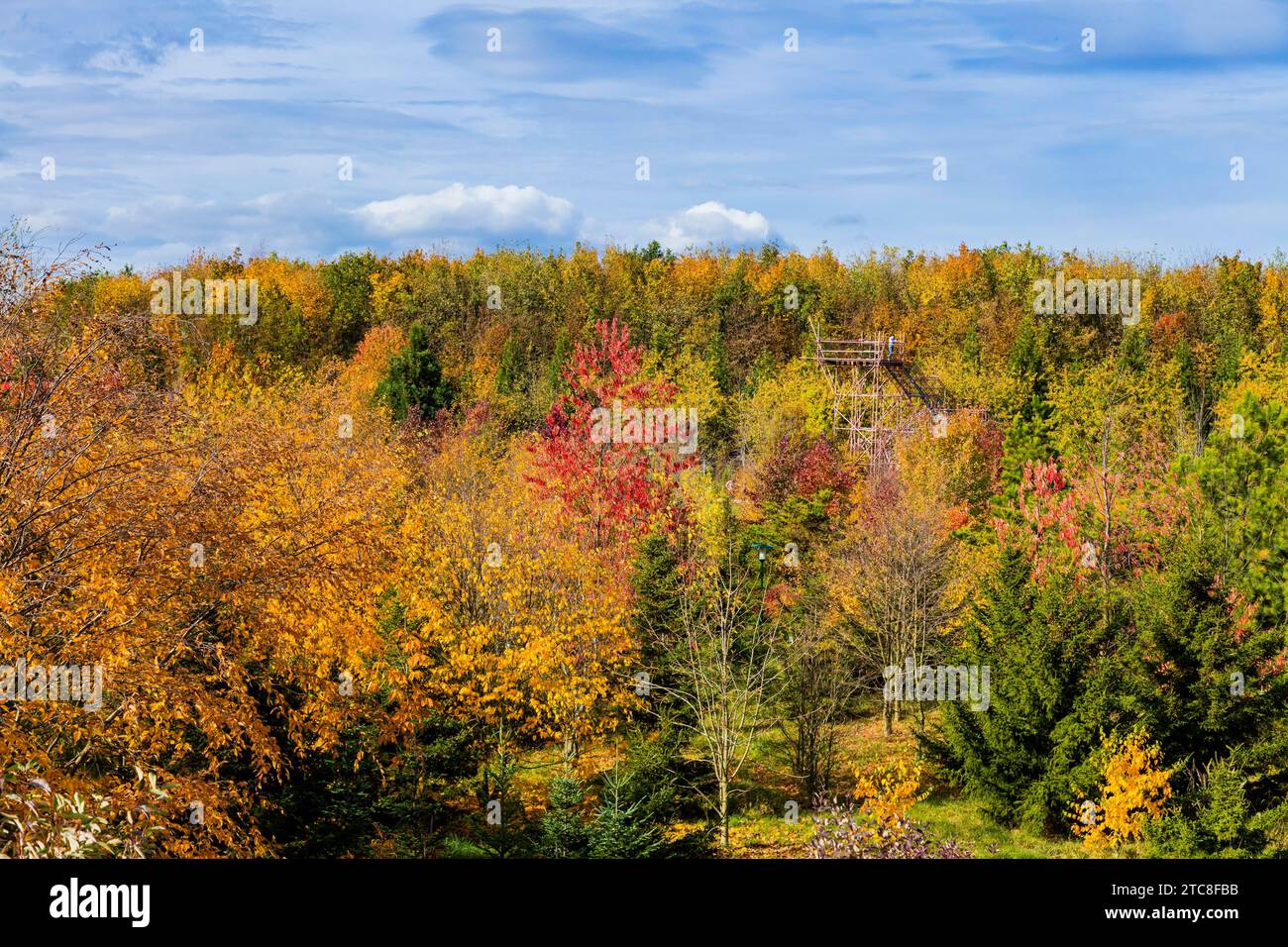 The Forest Botanical Garden Tharandt is an institution of the Technical ...