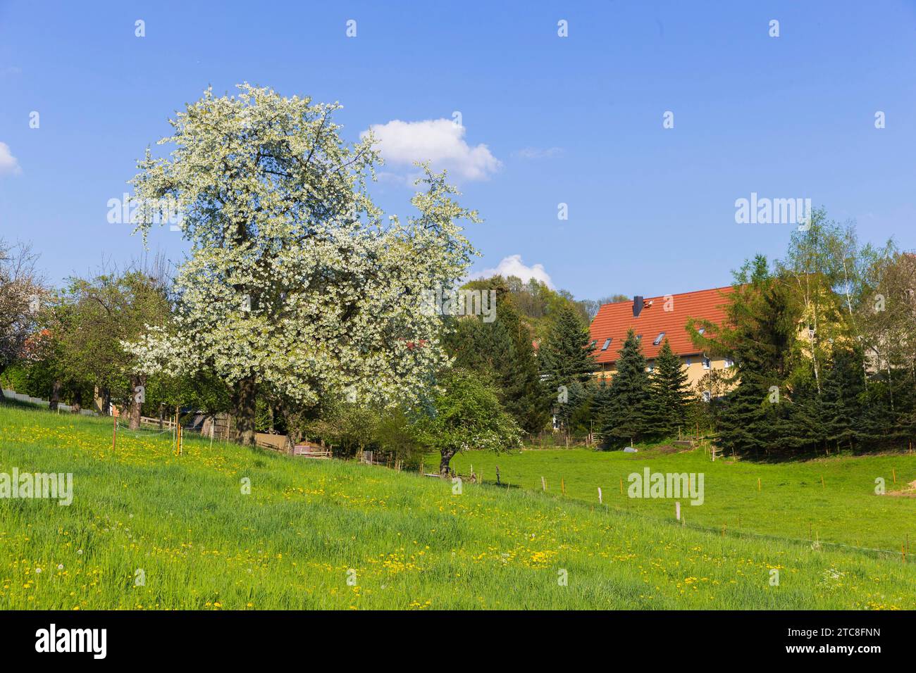 Area of countryside hi-res stock photography and images - Alamy