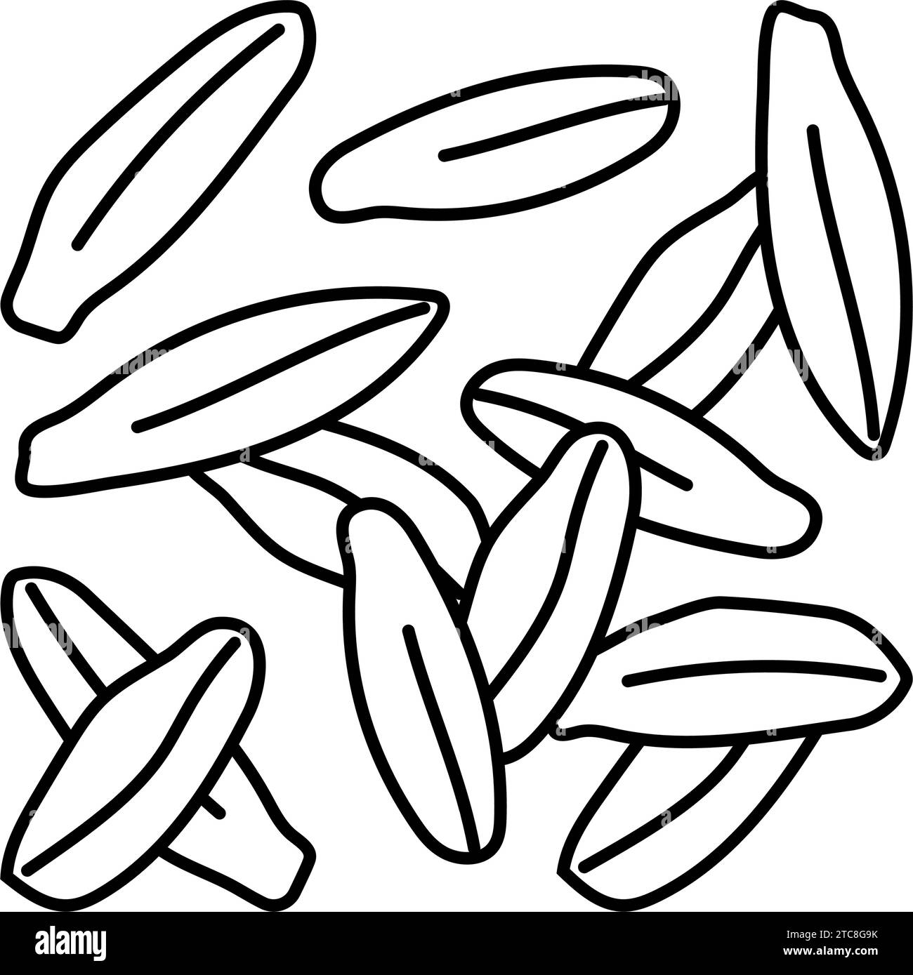 cumin food herb line icon vector illustration Stock Vector Image & Art ...