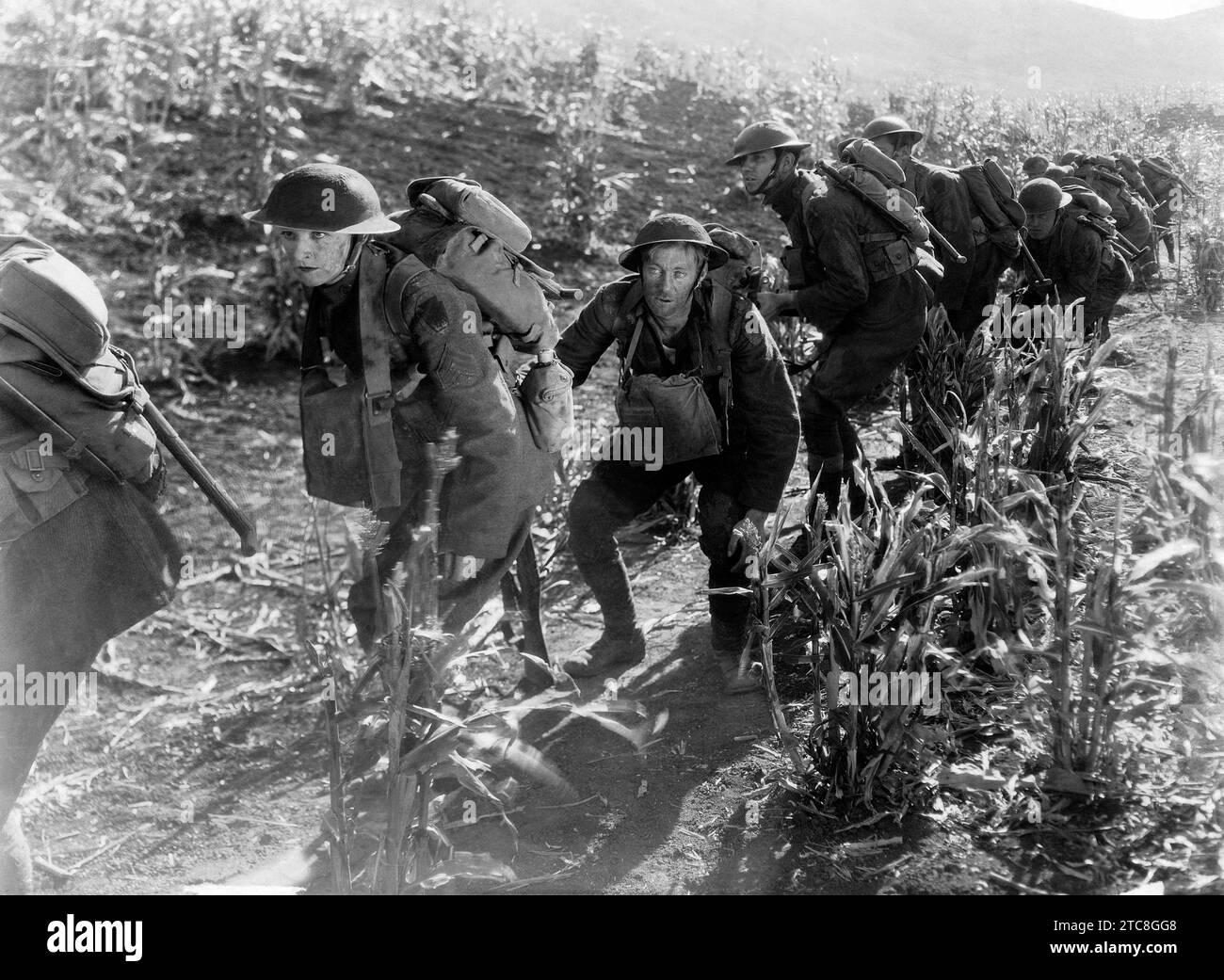 Line of soldiers sneaking uphill on field during war (OV2023 23 Stock ...