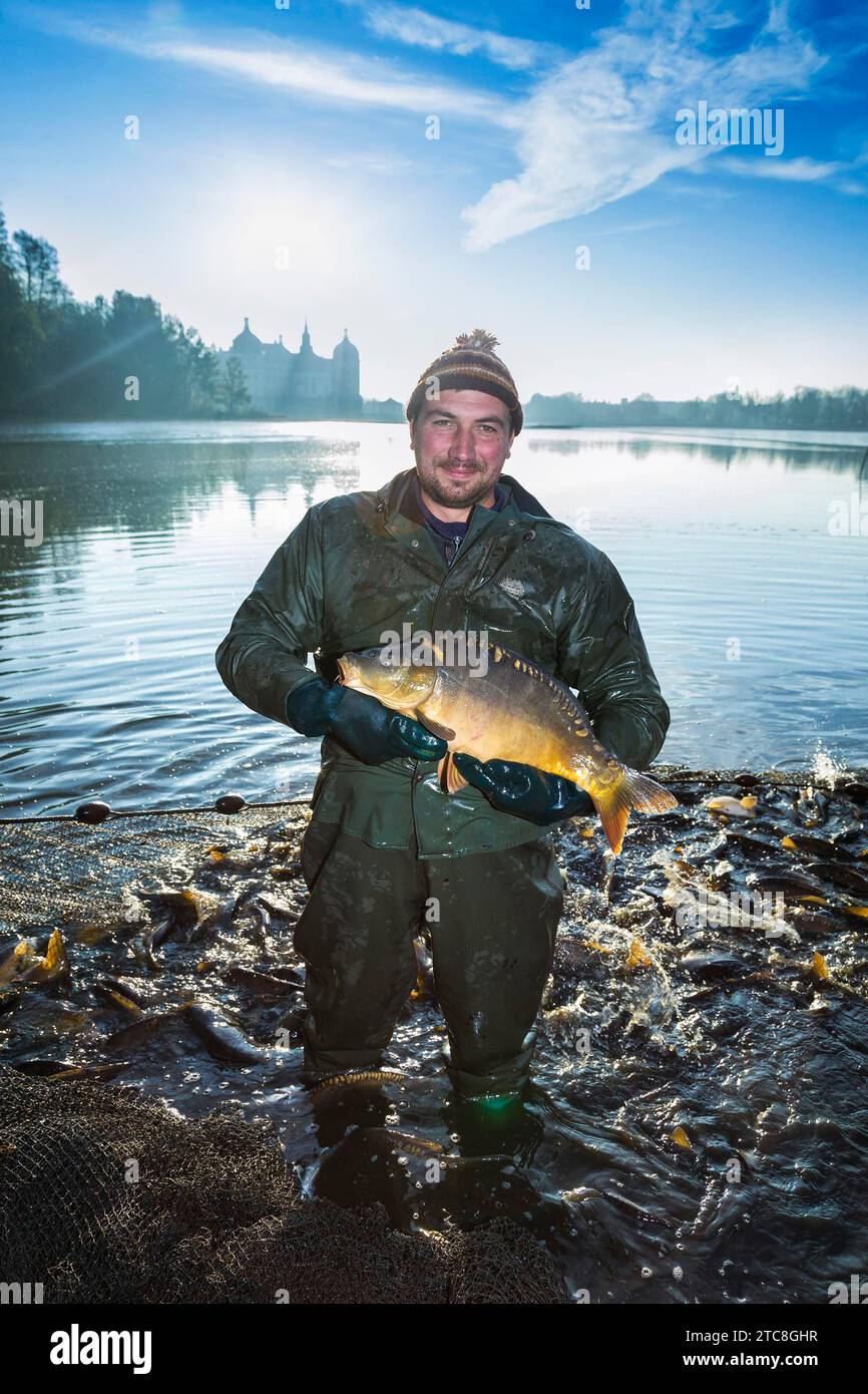 Fishing of the castle pond in Moritzburg Stock Photo - Alamy