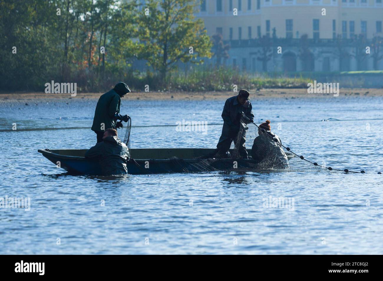 Fishing of the castle pond in Moritzburg Stock Photo - Alamy