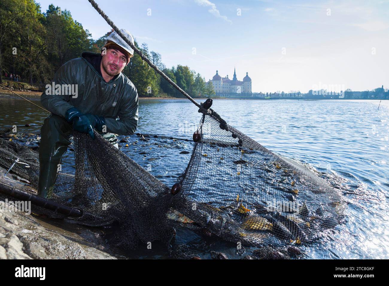 Fishing of the castle pond in Moritzburg Stock Photo - Alamy