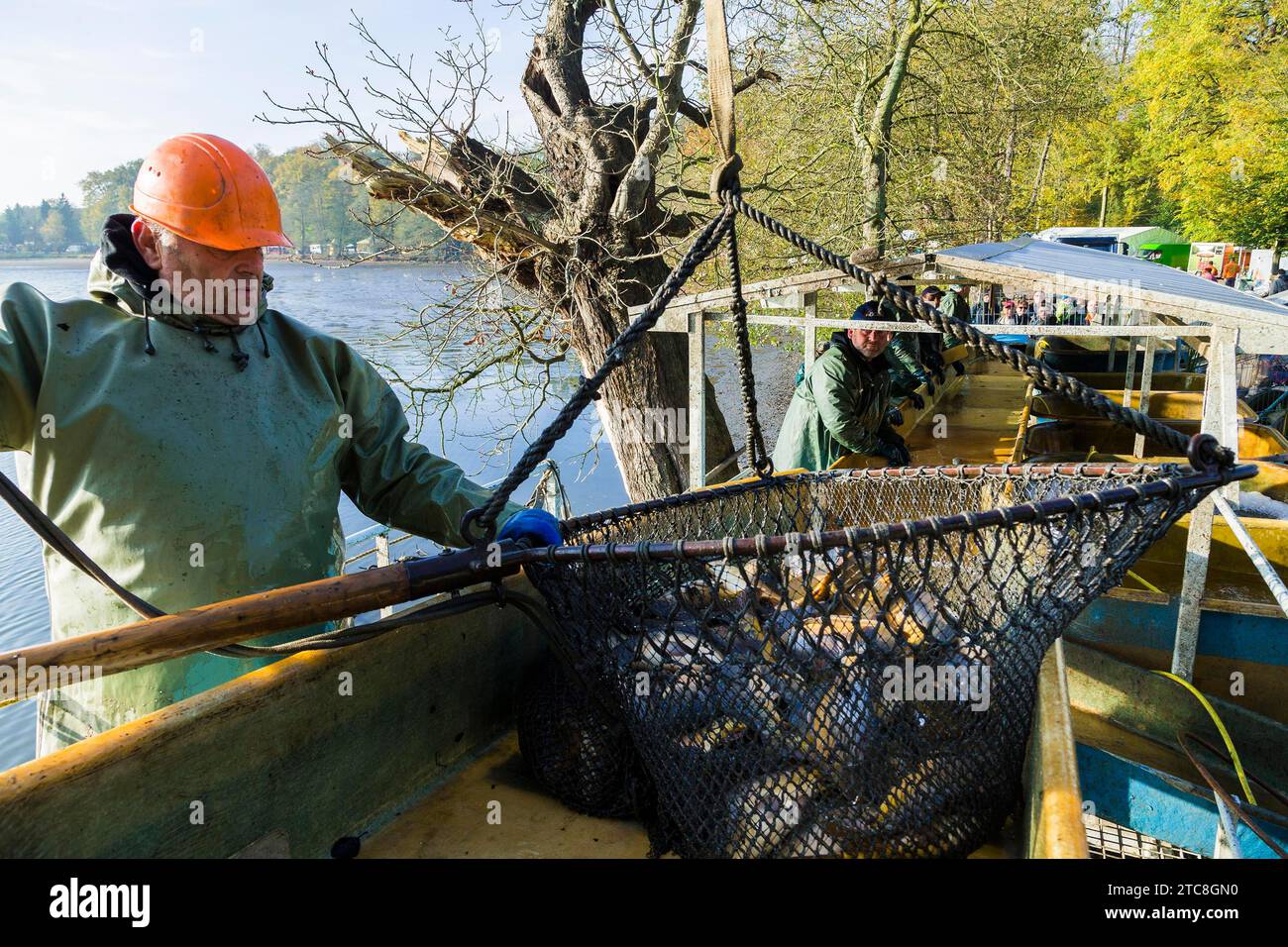 Fishing of the castle pond in Moritzburg Stock Photo - Alamy