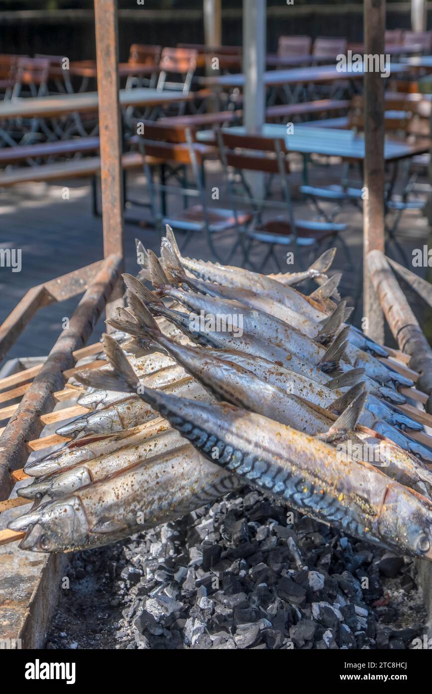 Fish on the charcoal grill, Bavaria, Germany Stock Photo - Alamy