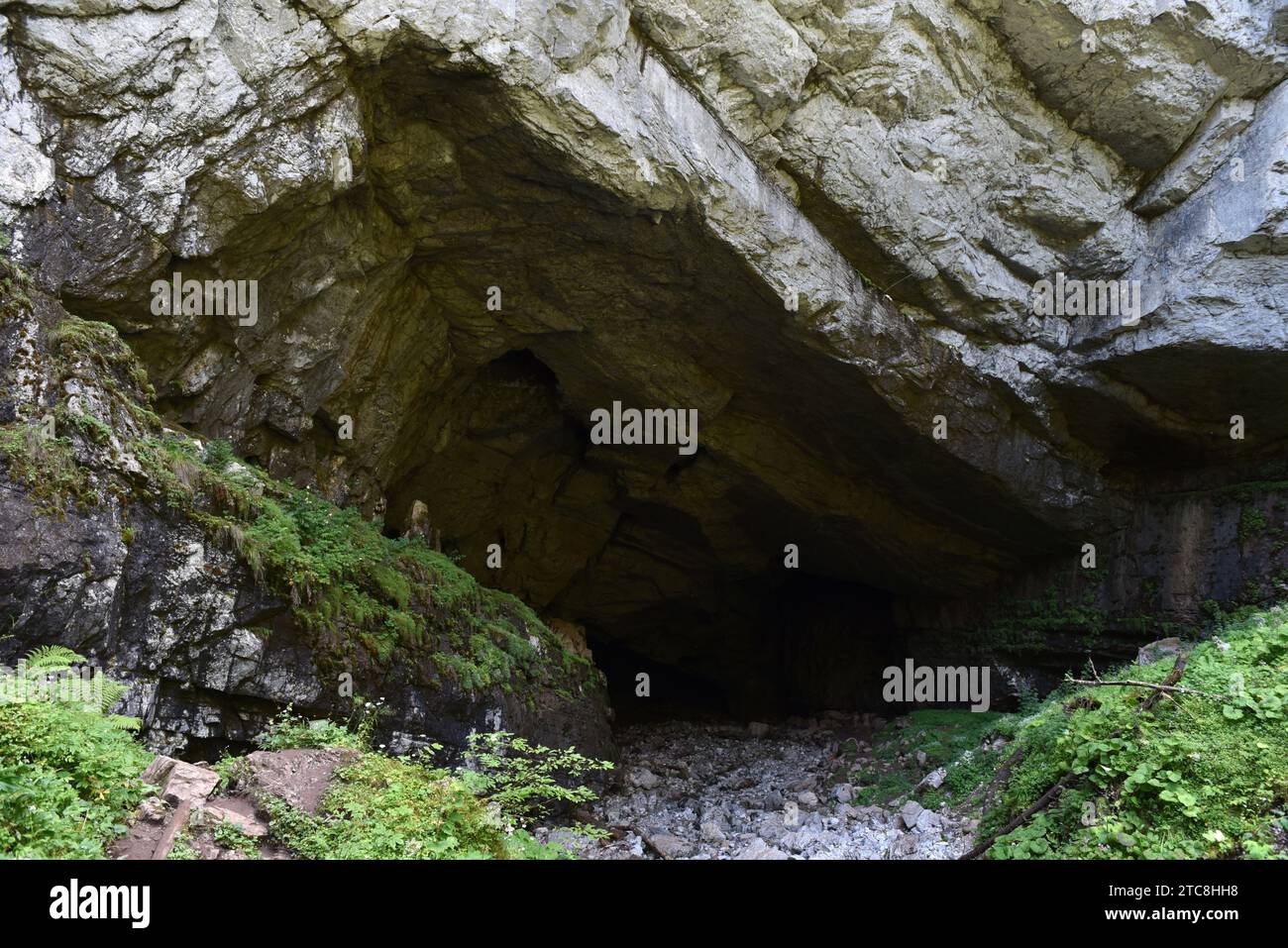 Monumental cave entrance. Coiba Mare cavern, Romania Stock Photo - Alamy