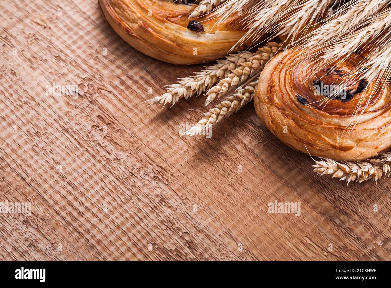 Oaken tree hi-res stock photography and images - Alamy