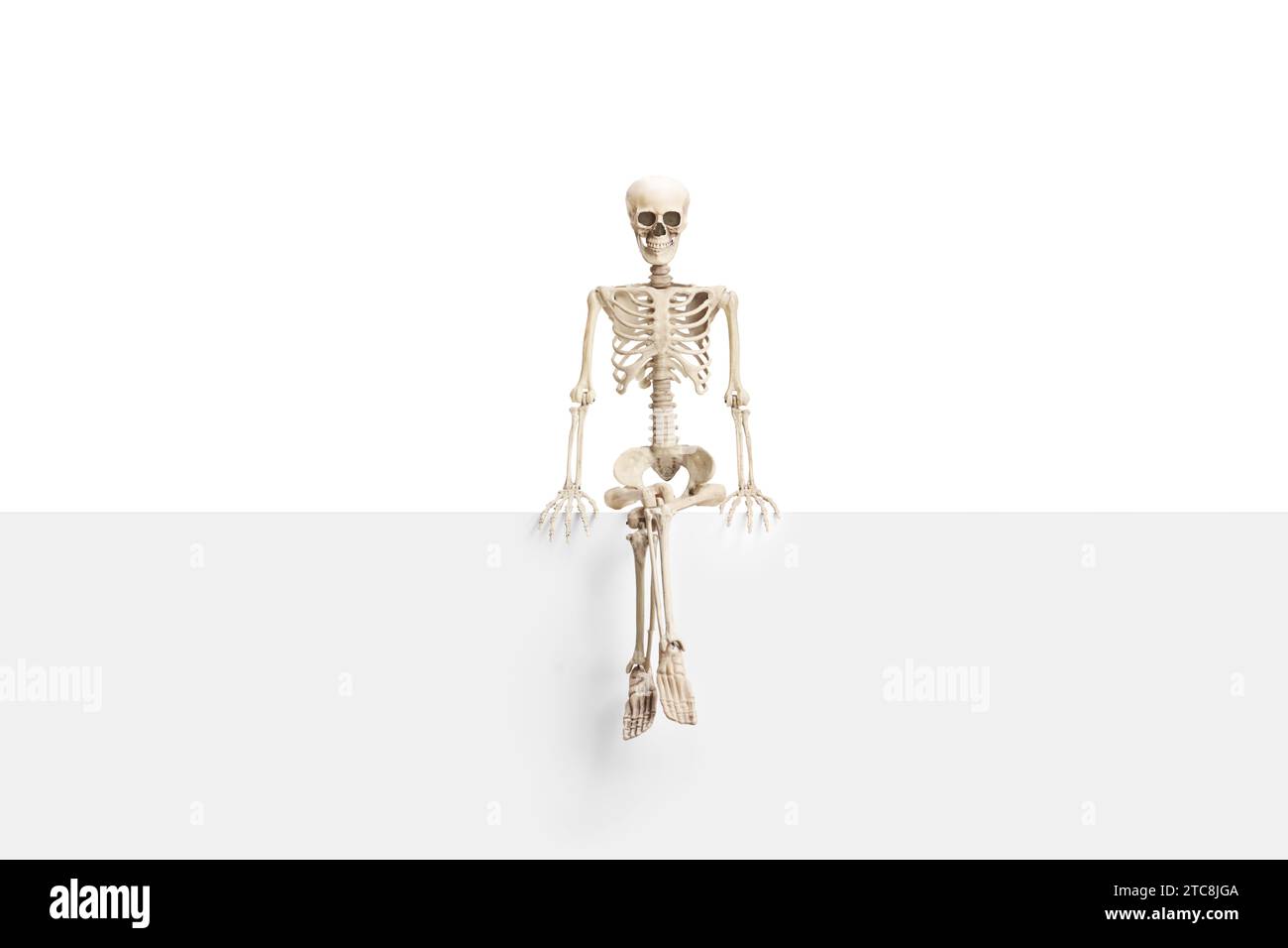 Human skeleton seated on a blank panel isolated on white background ...