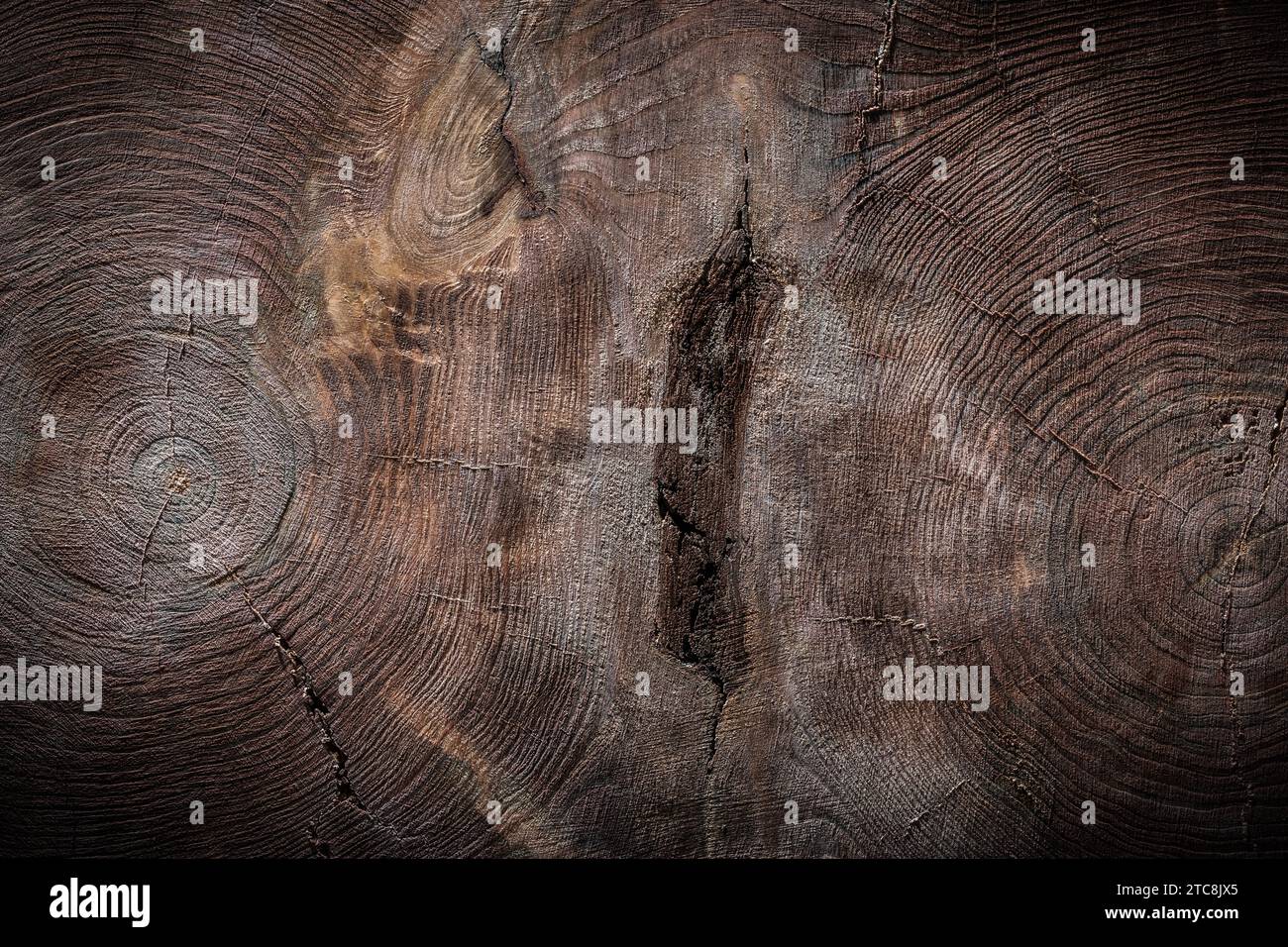 Double tree trunk cross section vintage wood texture Stock Photo - Alamy