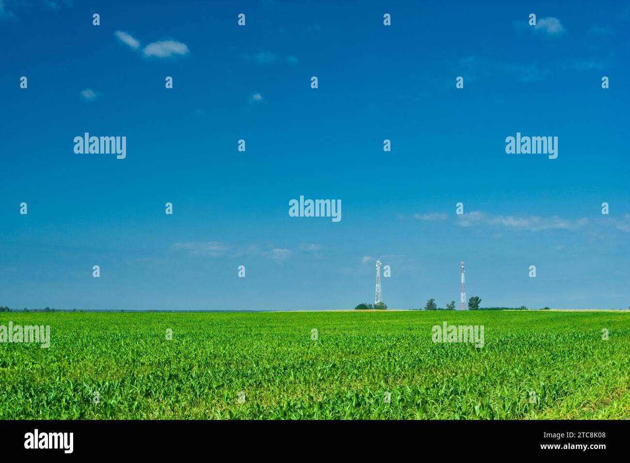 Field corn and two Tower Stock Photo - Alamy