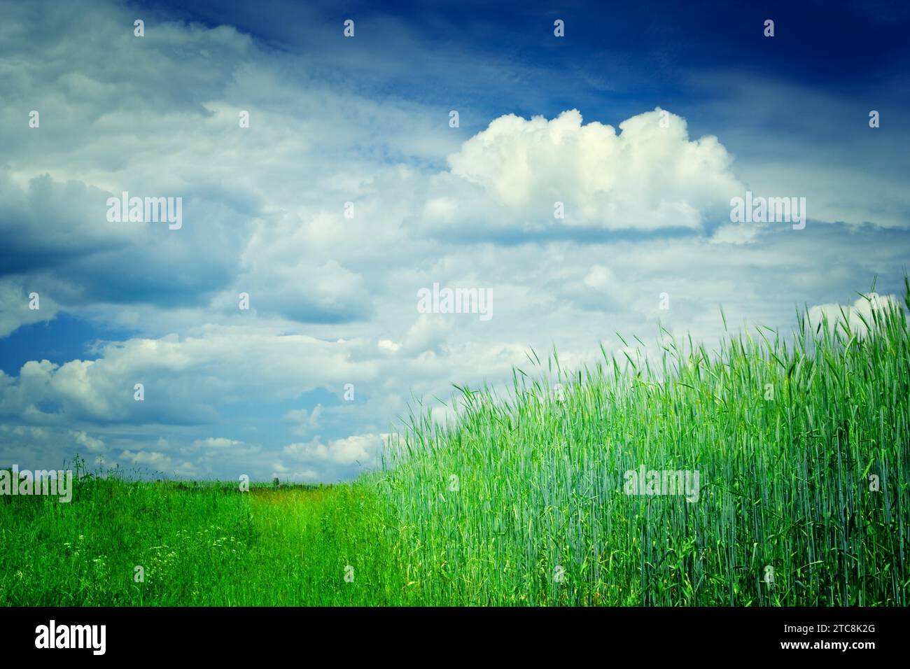 Summery land scene hi-res stock photography and images - Alamy