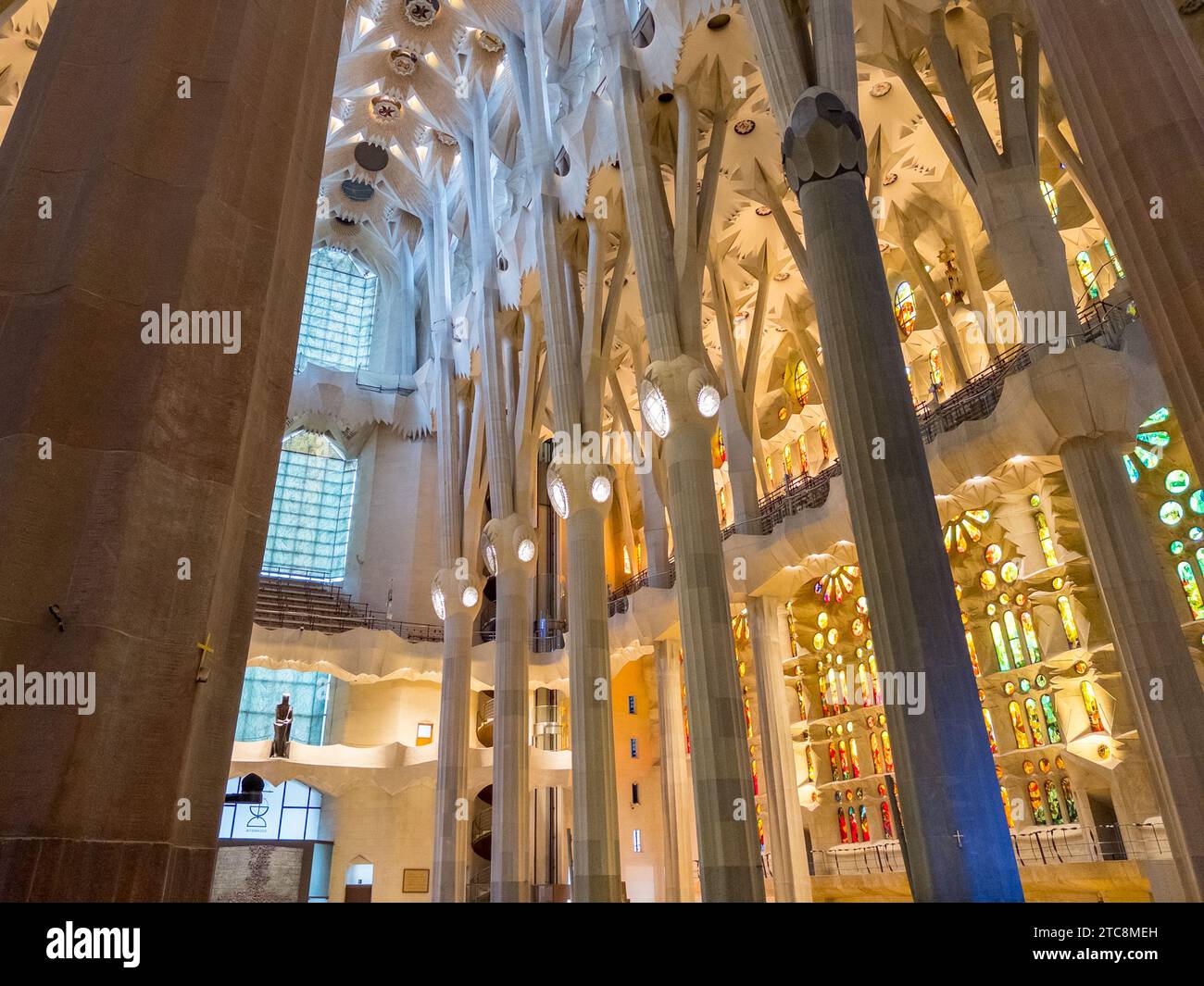 Light floods through the stained glass windows of the basilica de la ...