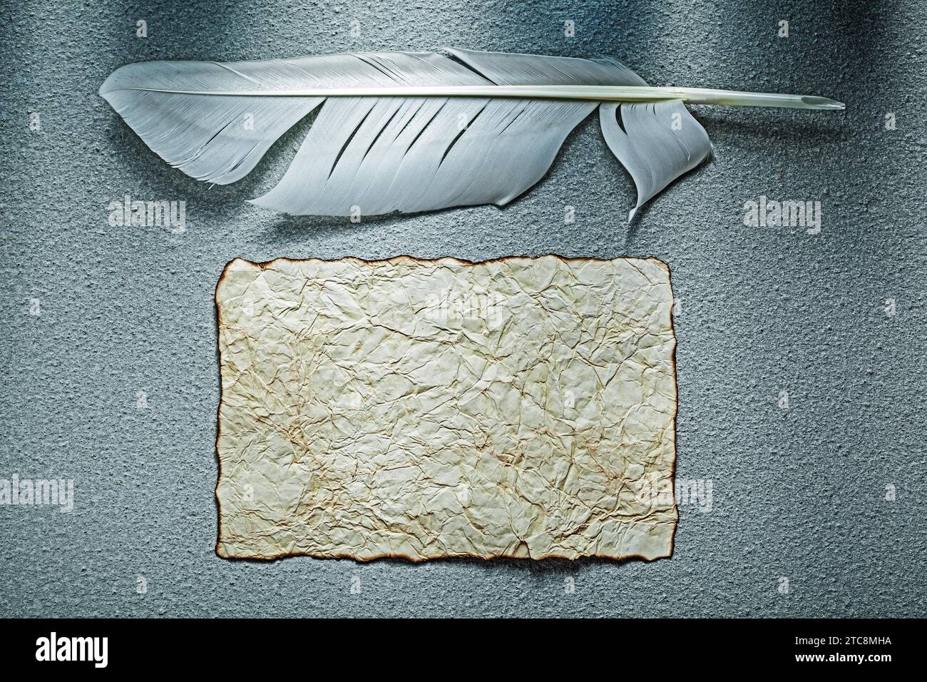 Vintage manuscript plume on grey background Stock Photo - Alamy