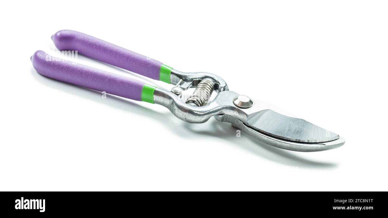 Secateurs isolated on white background Stock Photo - Alamy