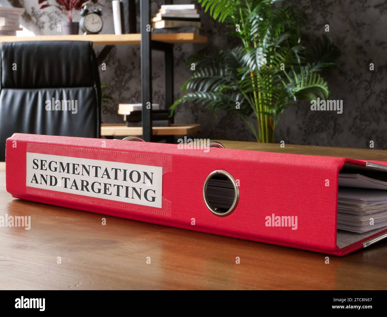 Folder with segmentation and targeting report Stock Photo - Alamy