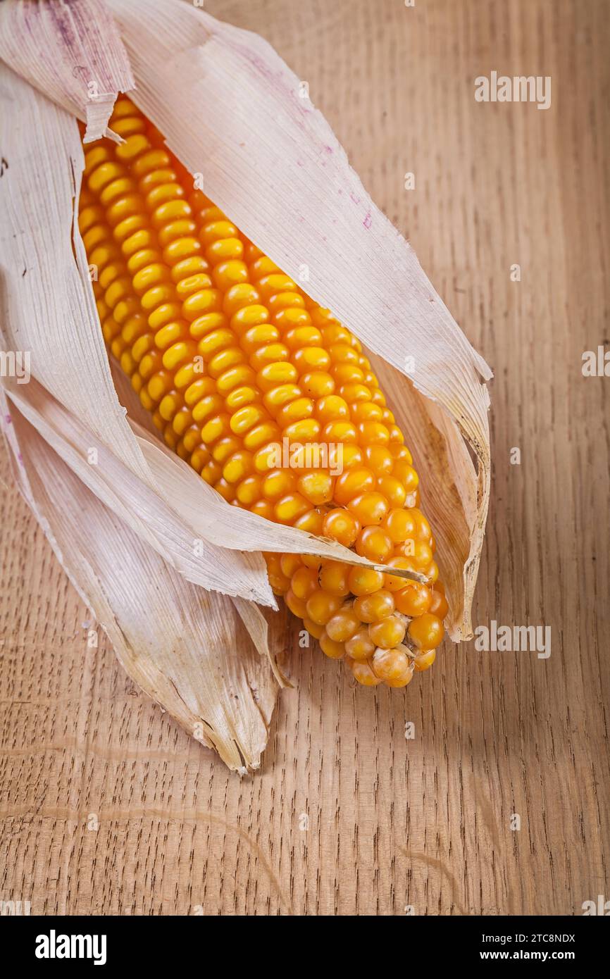 Close up view on ear of corn Stock Photo - Alamy