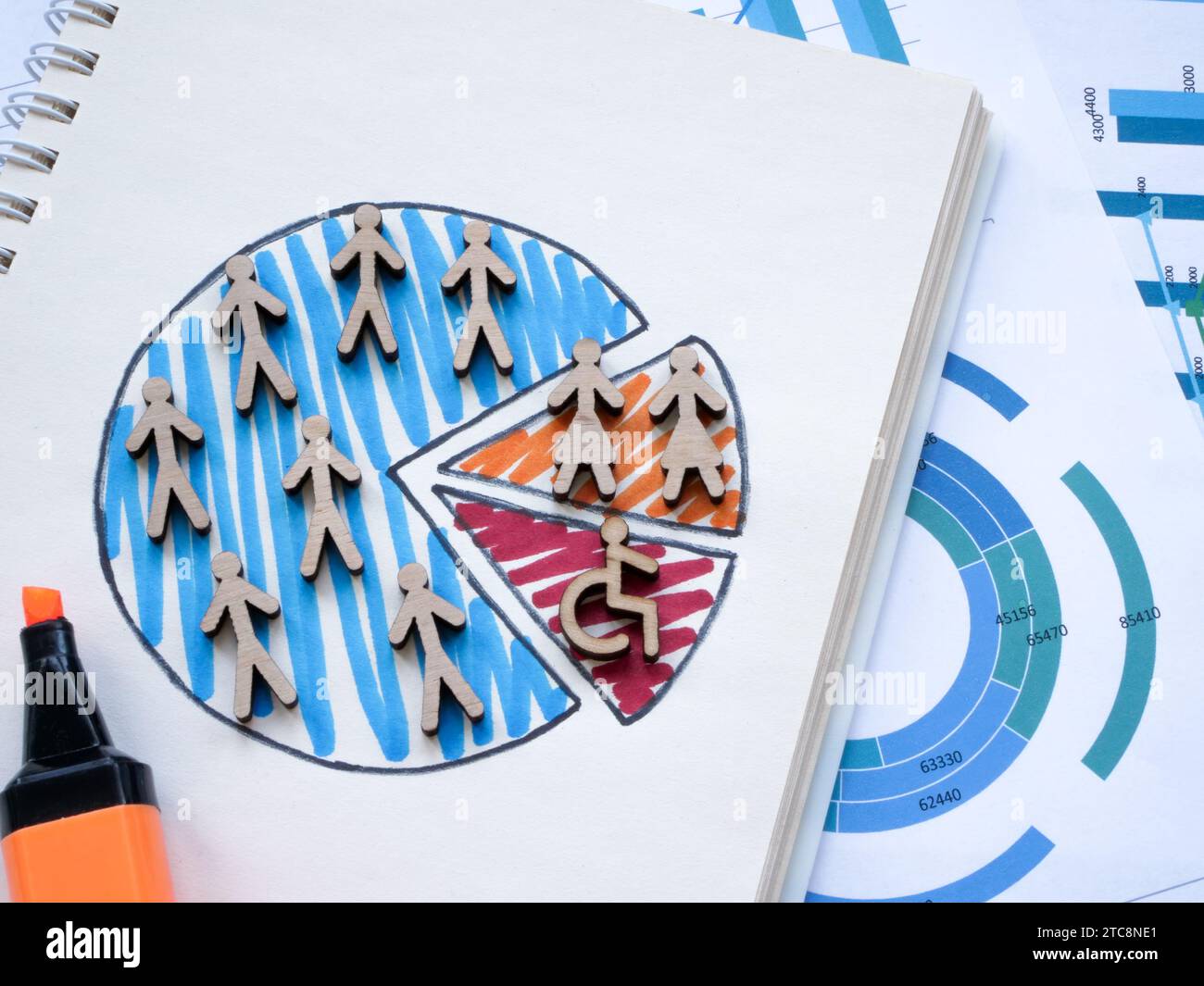 Inclusion concept. Graph with segments of disabled people and women as ...