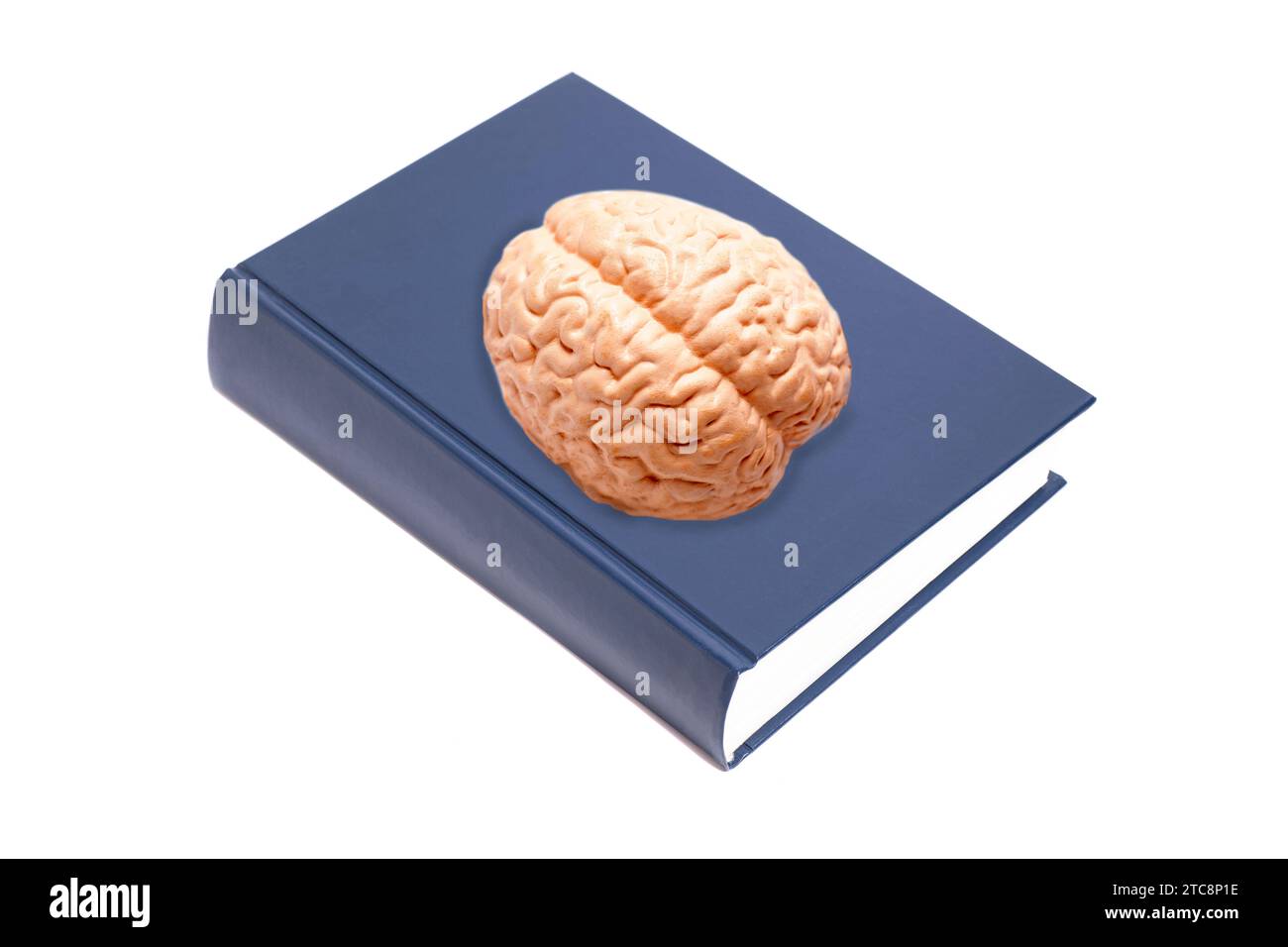 Blue notebook with human brain anatomical model isolated on white ...