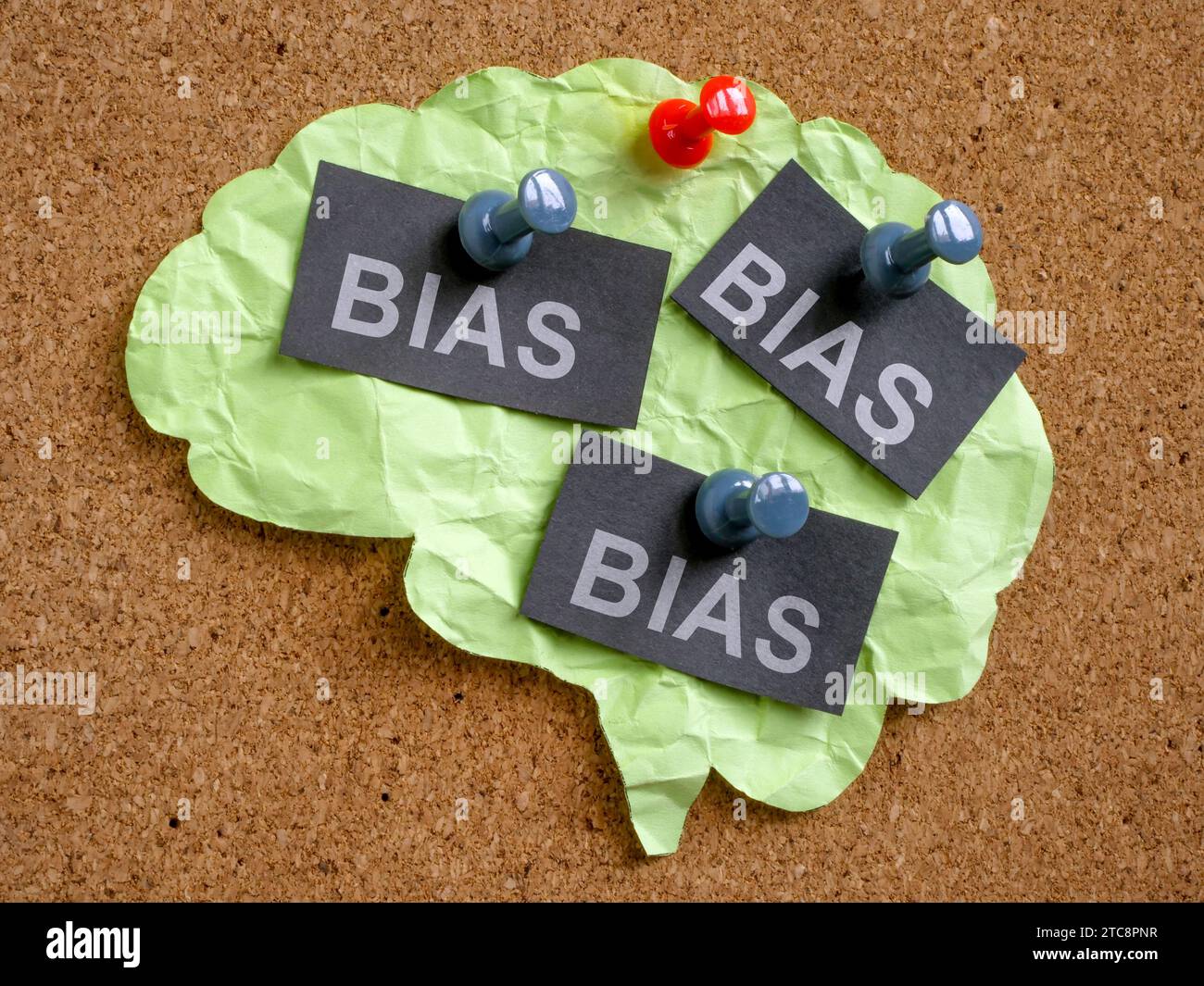 Paper brain and sticks with word bias Stock Photo - Alamy