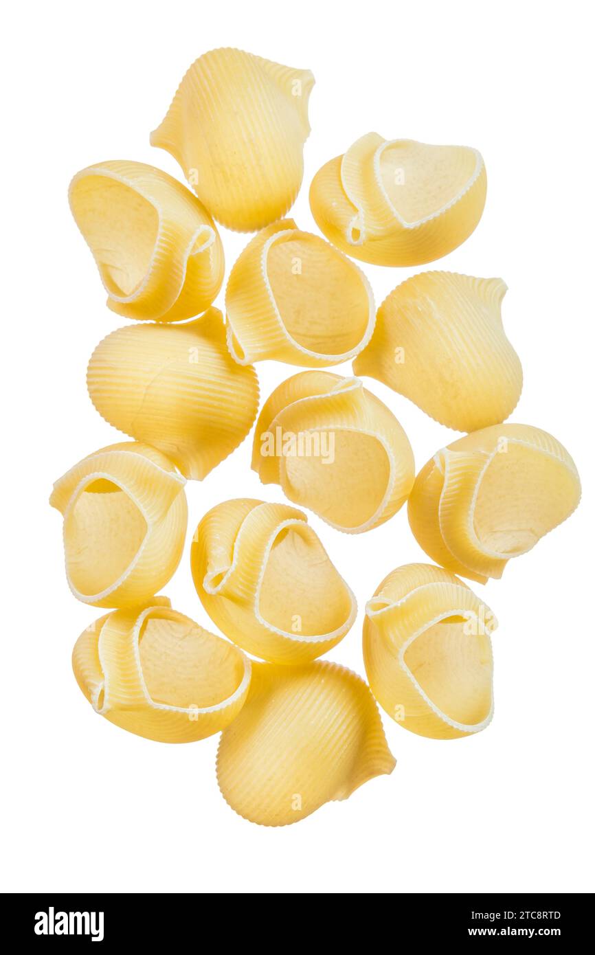 Pile of short-cut pasta shells in front of a white background Stock ...