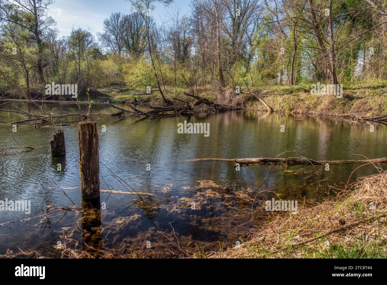 Bobri, Dolnja Bistrica is a meander from river Mura, Slovenia ...