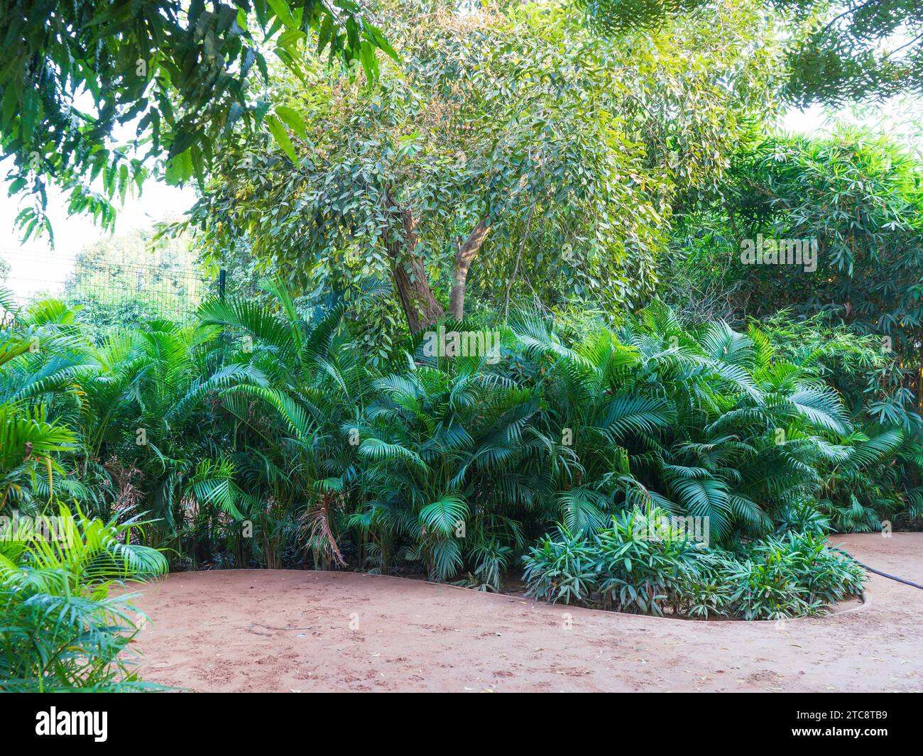 Blue and green house image hi-res stock photography and images - Alamy