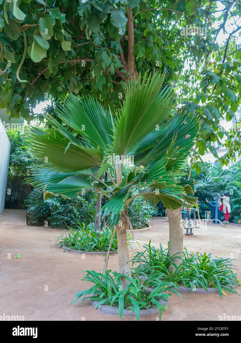 Beautiful natural image hi-res stock photography and images - Alamy