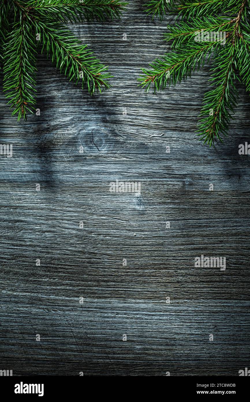 Evergreen tree branch on an old wooden board Stock Photo - Alamy