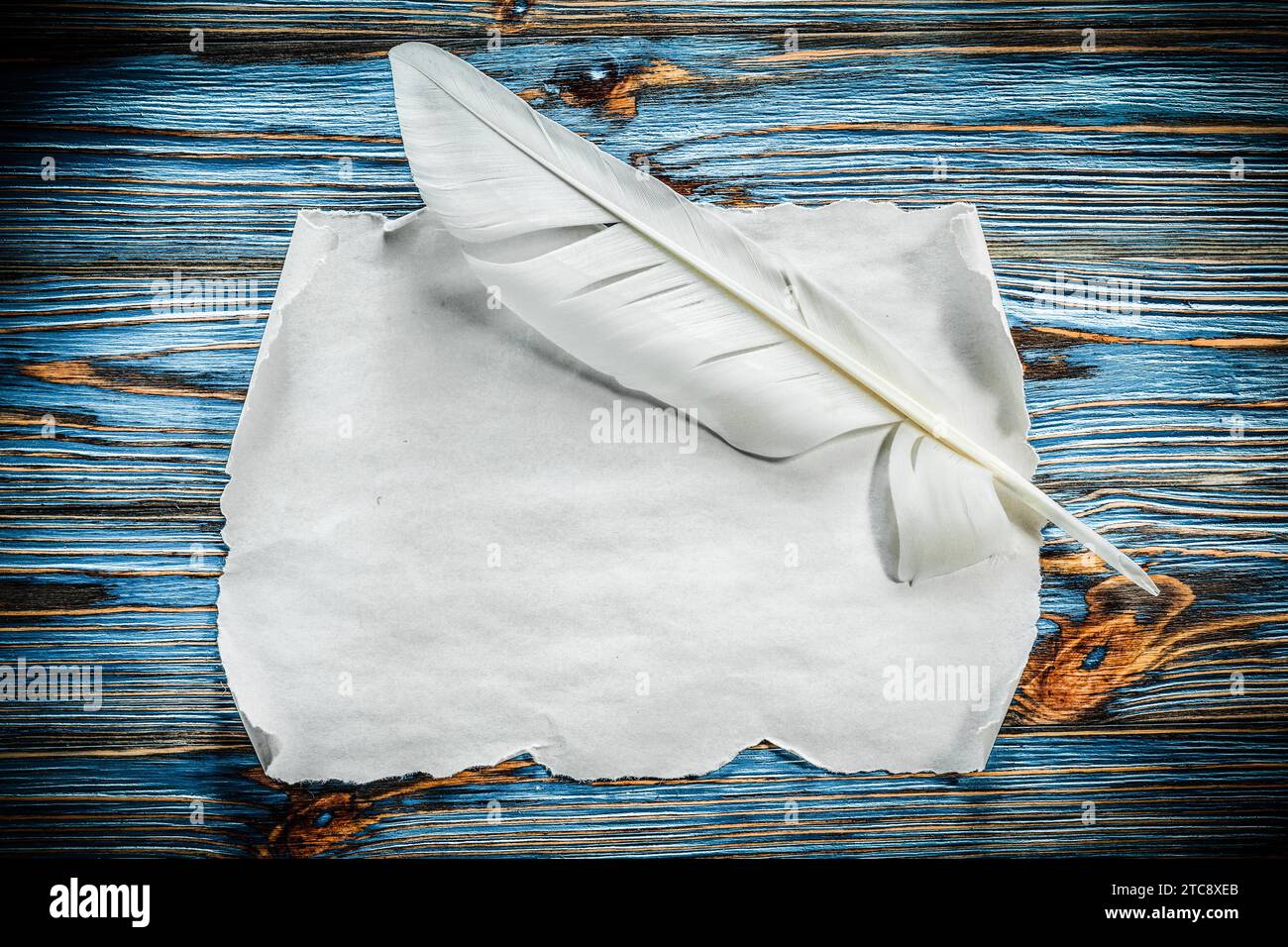 Medieval paper scroll with feather on blue wooden board Stock Photo - Alamy